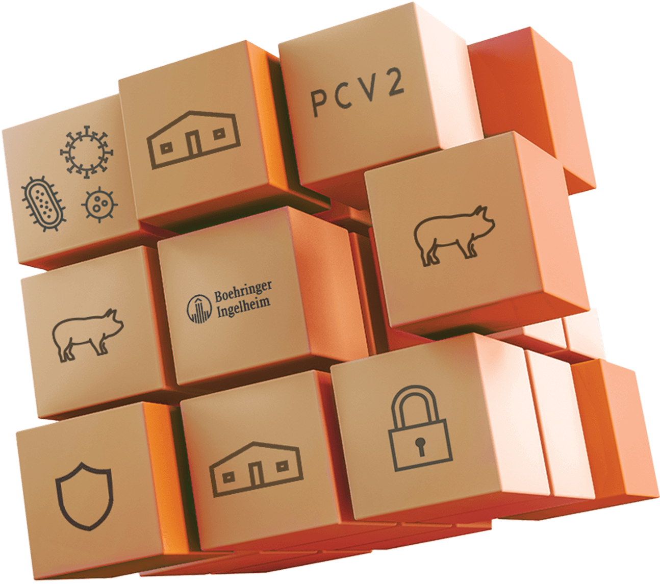 PCVAD Protection Tool | Boehringer Ingelheim Swine